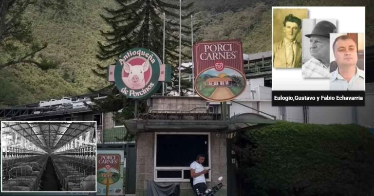 Don Eulogio Echavarría mostró cerdos para la familia y le dio vida al ...