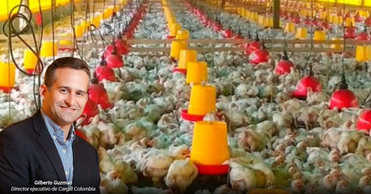 Los gringos dueños de Pollos El Bucanero lograron ingresar al exigente ...